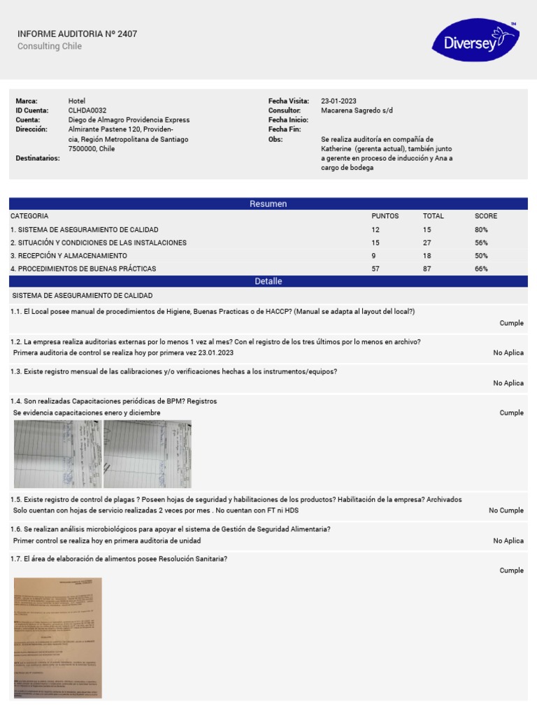 Diversey Informe Auditoria #2407 | PDF | Auditoría | Alimentos