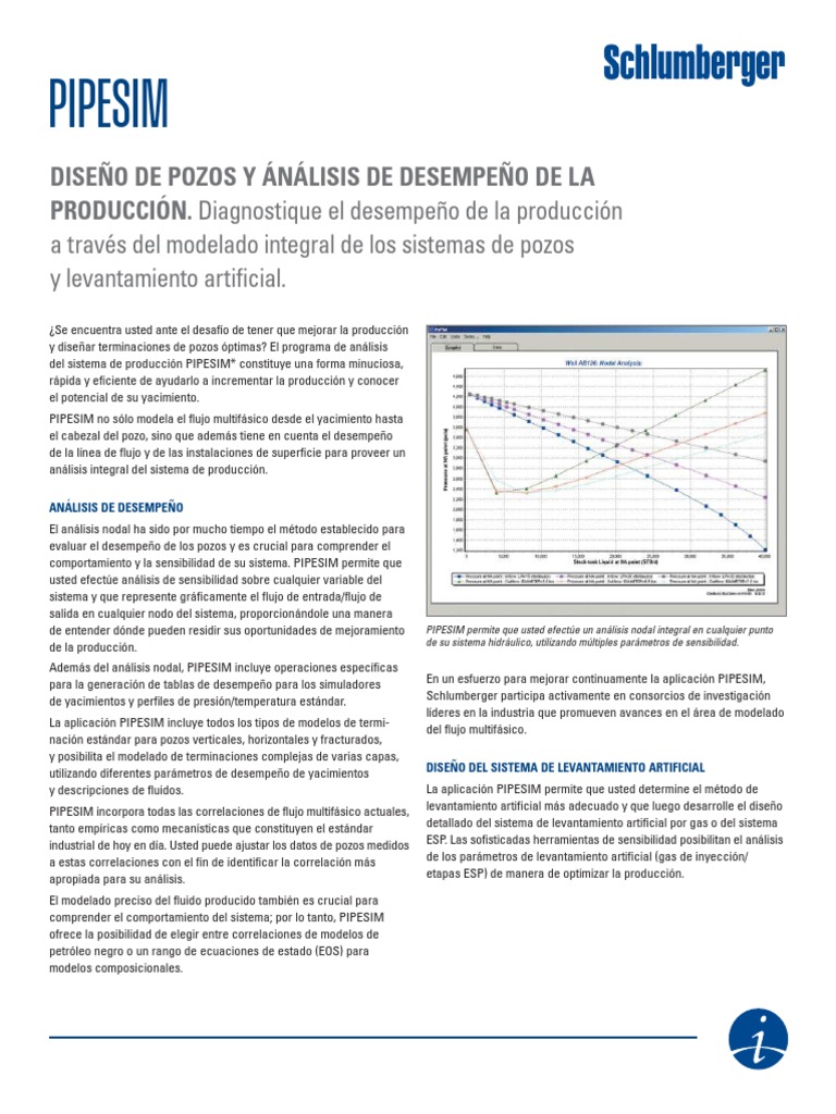 PIPESIM | PDF | Simulación | Gases