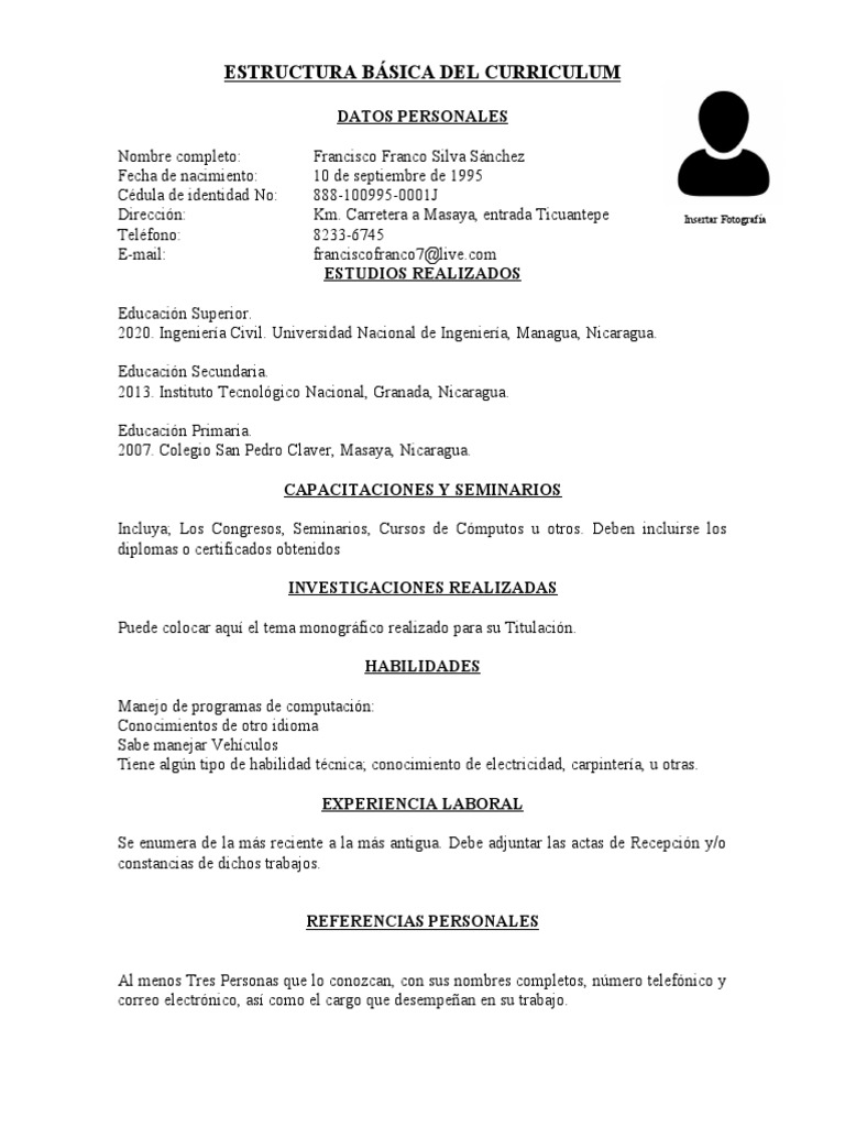 Modelo Curriculum | PDF