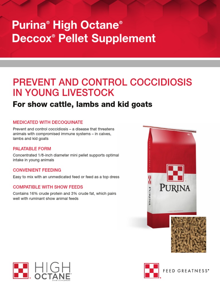 High Octane Deccox Sell Sheet - 2020 | PDF | Dietary Supplements | Salt
