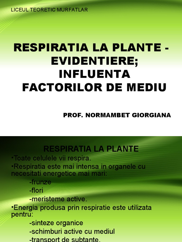 Respiratia La Plante | PDF