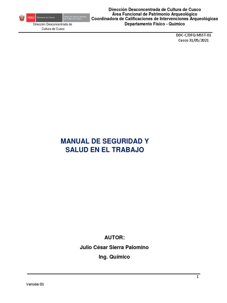 Manual de Seguridad y Salud en El DFQ de La DDC Cusco F Final | PDF ...