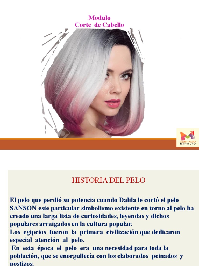 Corte de Cabello Abri 2022 | PDF | Pelo | Anatomía