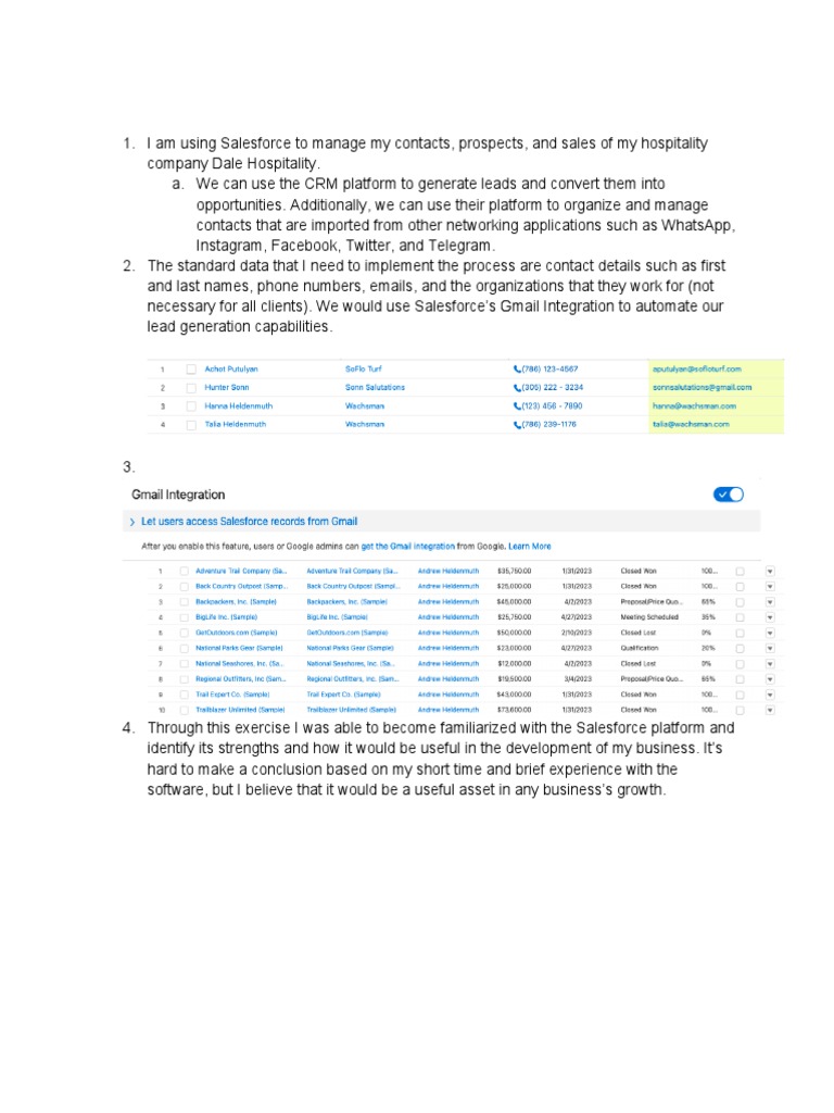 SalesForce ISM | PDF