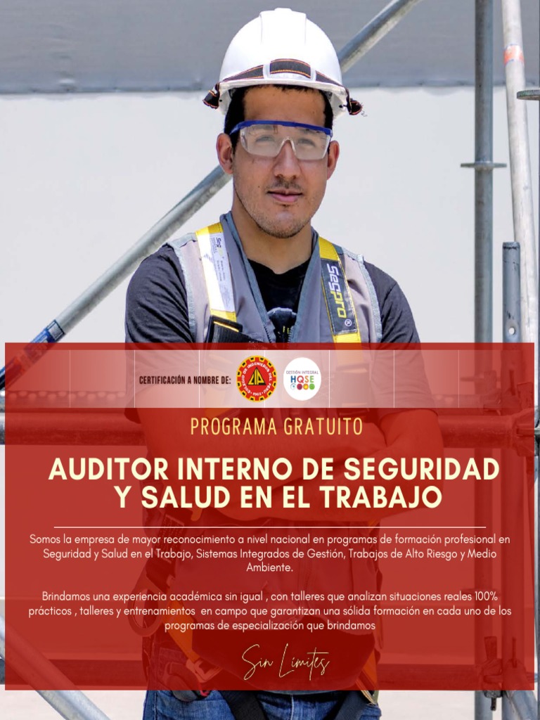 Programa Libre Auditoria de SST | PDF | Auditoría | Business