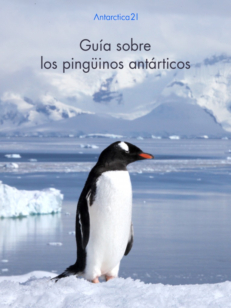 Guia Sobre Los Pinguinos Antarticos ES 1 | PDF | Antártida | Pingüino