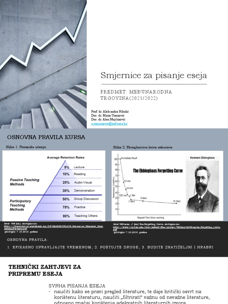 01 Smjernice Za Pisanje Eseja Mujcinovic | PDF