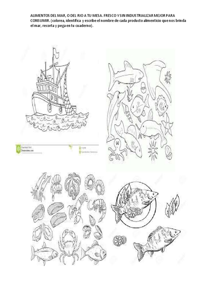 Alimentos Del Mar | PDF