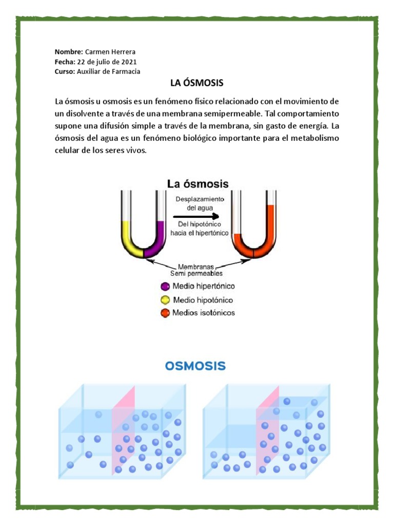 OSMOSIS | PDF