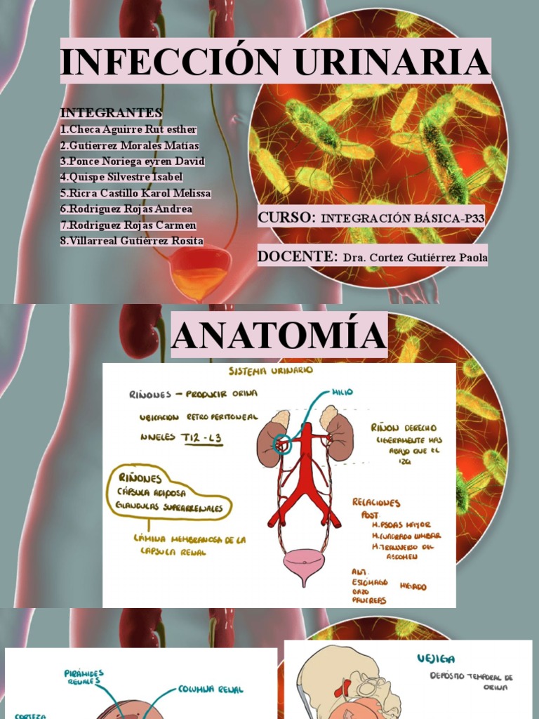 Infección Urinaria: Causas y Tratamiento | PDF | Infección del tracto ...