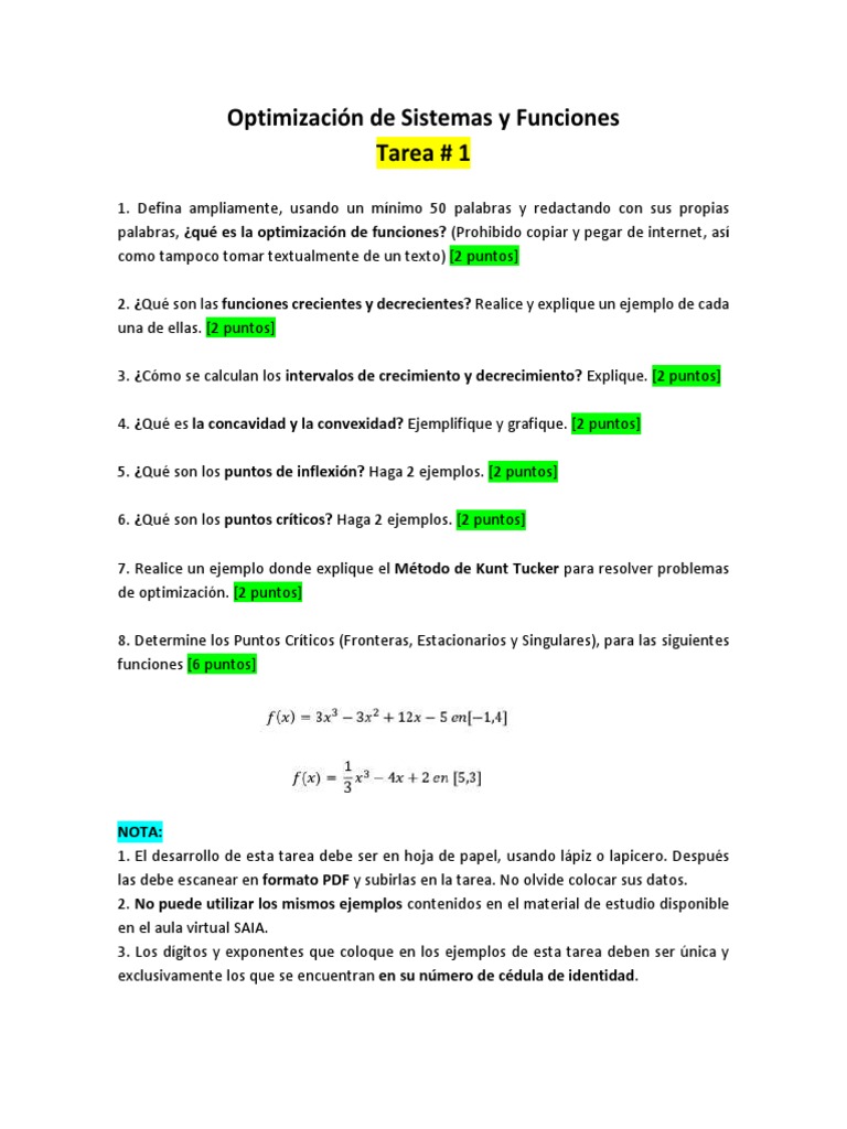 Tarea 1 - Optimización de Sistemas y Funciones | PDF