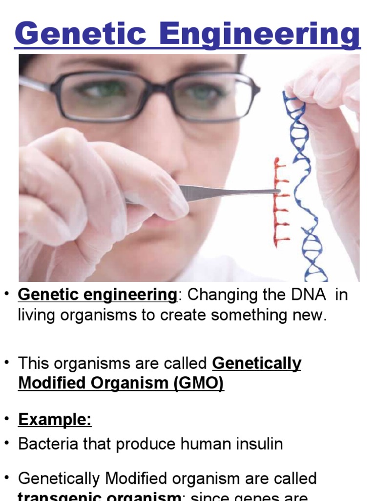 Genetic Engineering Techniques | PDF | Genetic Engineering ...