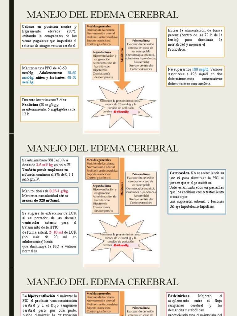 Manejo Del Edema Cerebral | PDF | Fisiología | Medicina