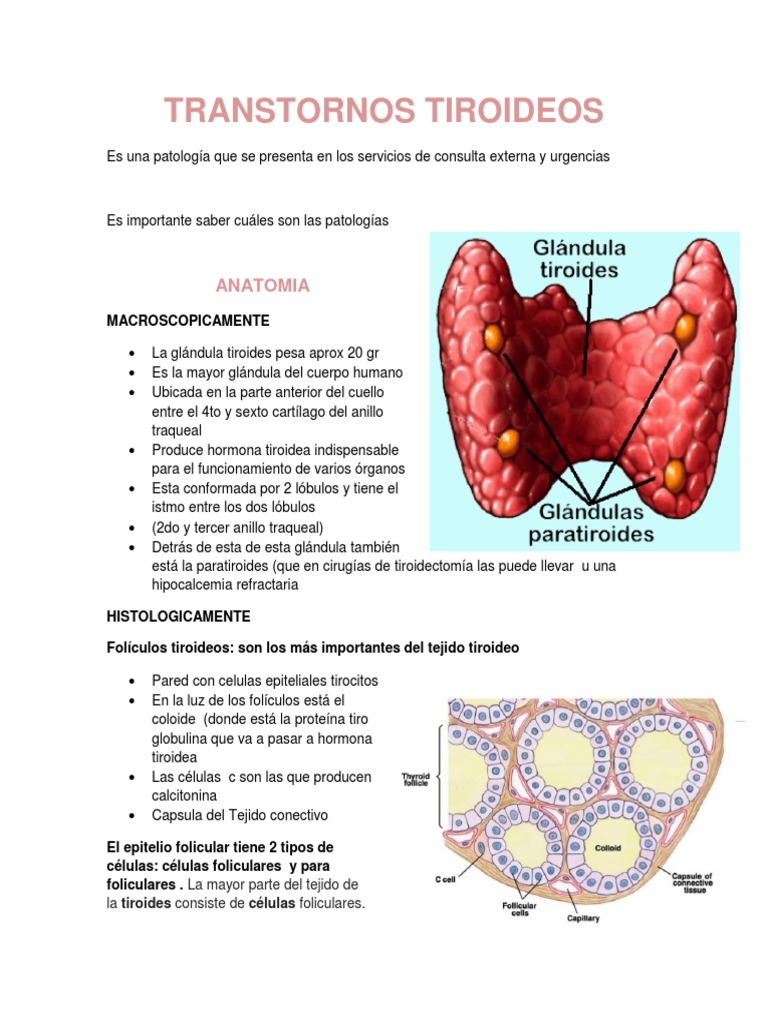 36_enfermedades_tiroideas | PDF | Hipertiroidismo | Tiroides