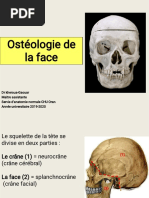 Anatomie de l'os ethmoïde | PDF | Anatomie | Système squelettique