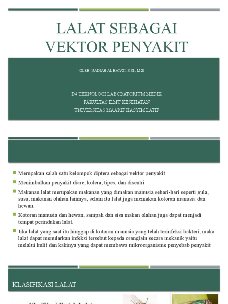 Lalat Sebagai Vektor Penyakit | PDF