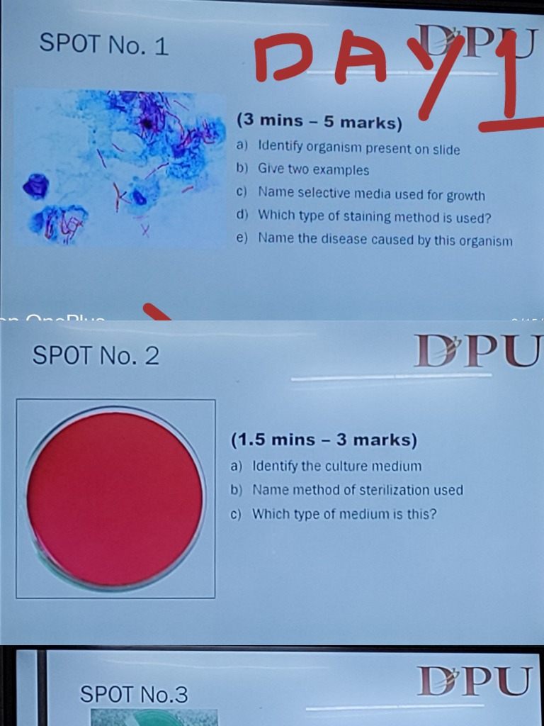 Microbiology Spotters | PDF