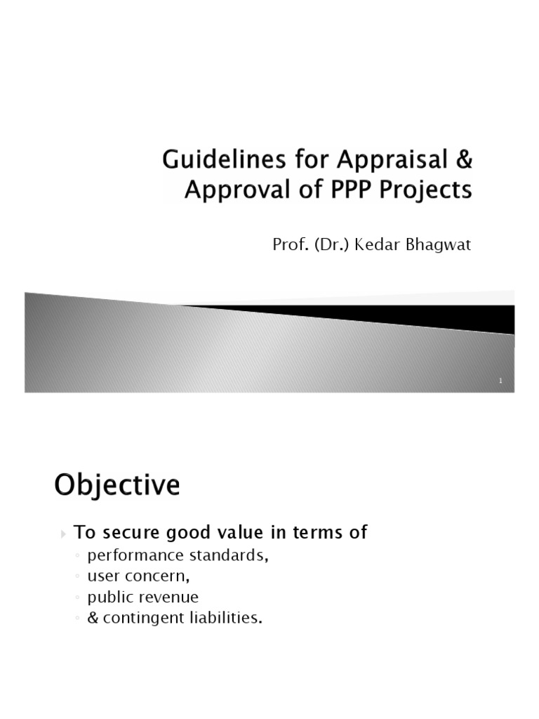 PPP Guidelines | PDF | Public–Private Partnership | Government