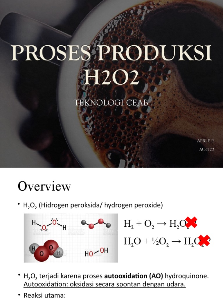Proses Produksi H2O2 (Training) | PDF