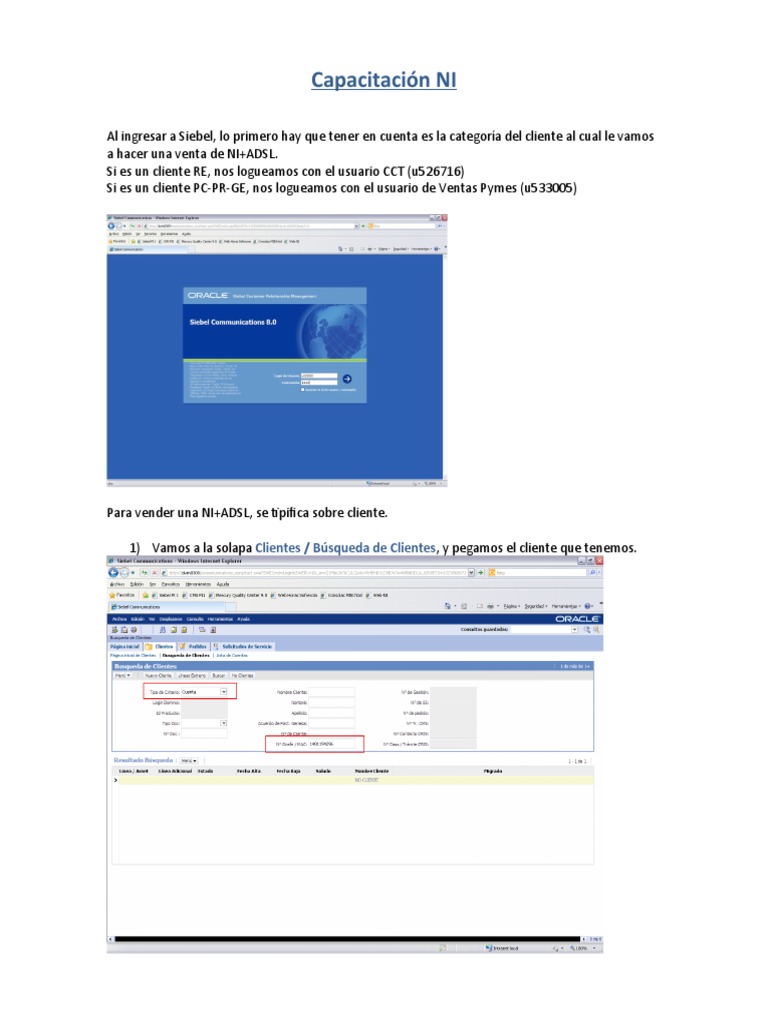 Como Generar NIs | PDF