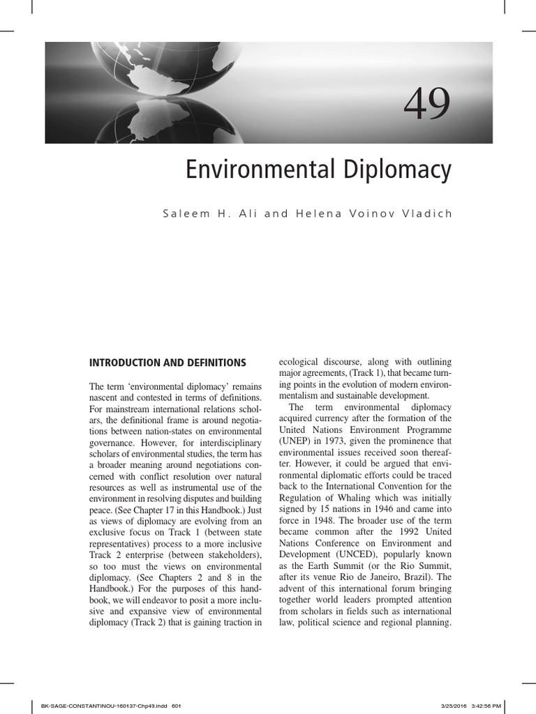 Paper On Environmental Diplomacy | PDF | Governance | Diplomacy