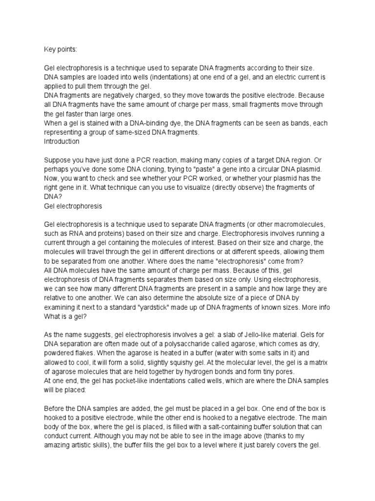 Gel Electrophoresis | PDF | Gel Electrophoresis | Agarose Gel ...