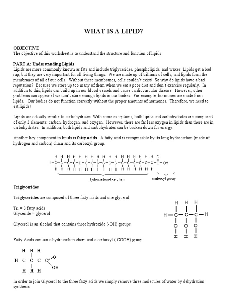 Understanding Lipids | PDF | Lipid | Fatty Acid
