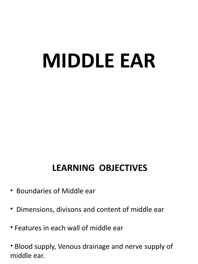 Anatomy of the Middle Ear: Structures, Boundaries, Blood Supply, and ...