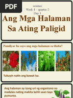 Halamang Dahon | PDF