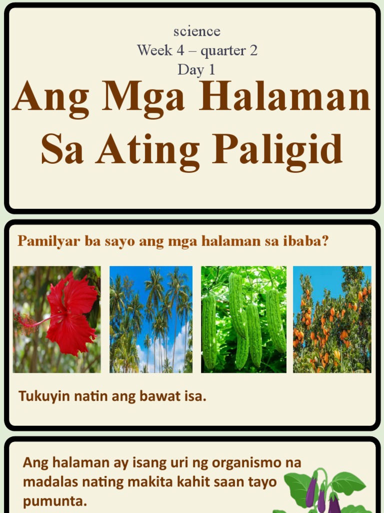 Science Week 4 (Quarter 2) | PDF