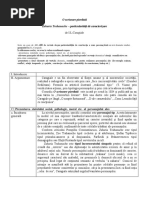 Plan Caracterizare BAC | PDF