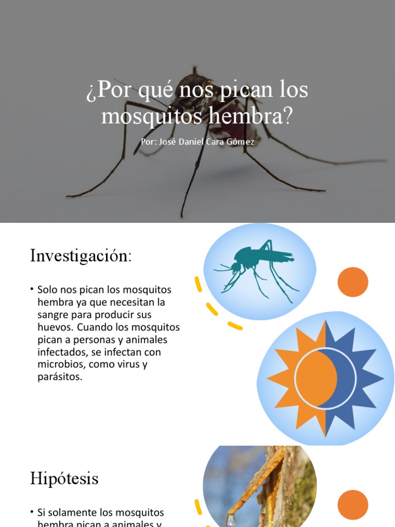 Por Qué Nos Pican Los Mosquitos Hembra | PDF