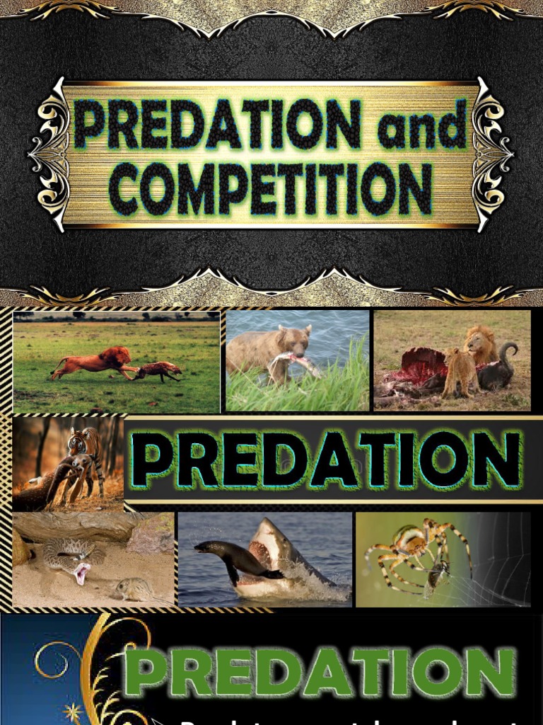 Predation & Competition | PDF | Predation | Parasitism