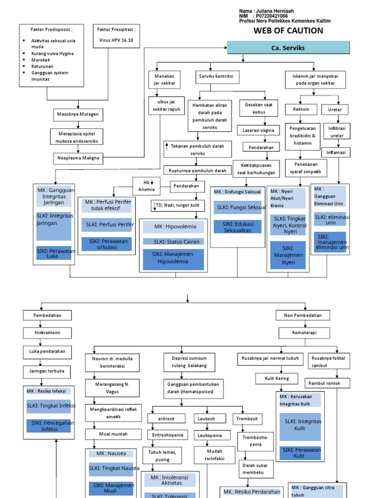 WOC Ca Cervix Juliana | PDF