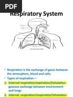 Detailed Lesson Plan Respiratory System | PDF | Respiratory Tract | Respiratory System