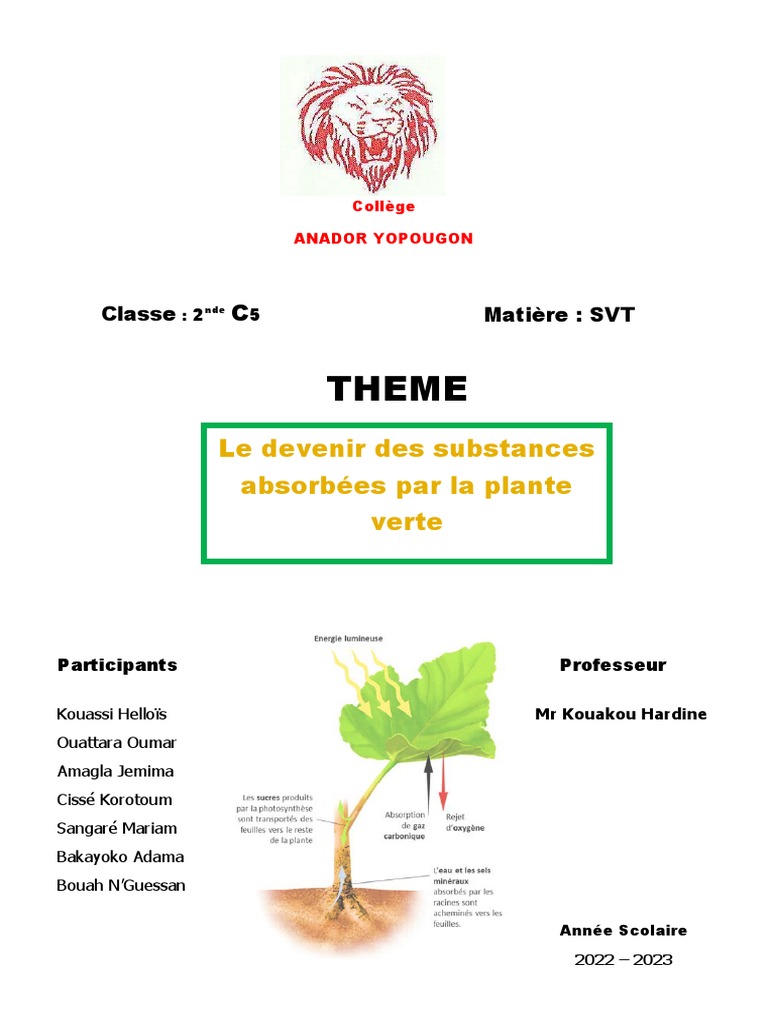 Nutrition et besoins des plantes vertes | PDF | Plantes | Chlorophylle