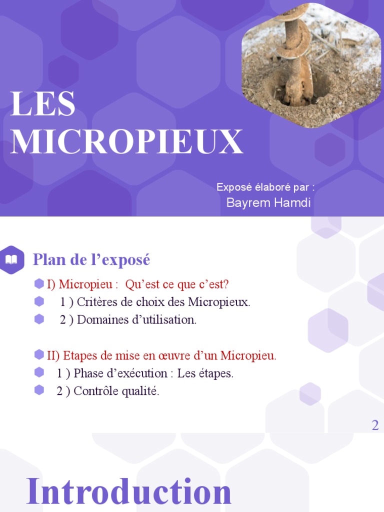 Micropieux : Solutions et Mise en Œuvre | PDF | Maison et jardin ...