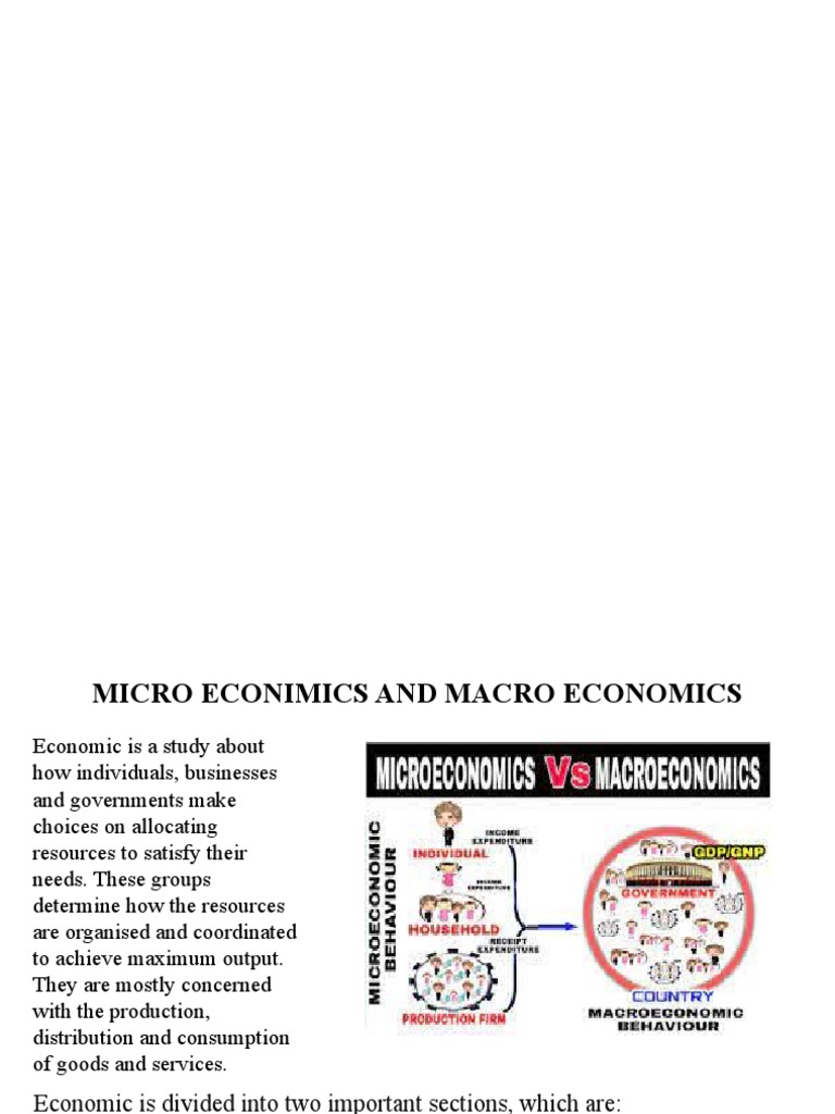 Micro And Macro Economics Pdf Economics Microeconomics