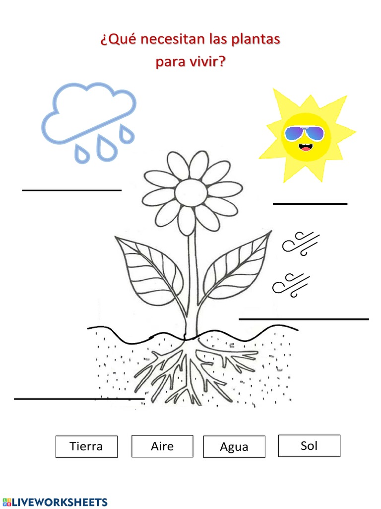 Elementos esenciales para las plantas | PDF