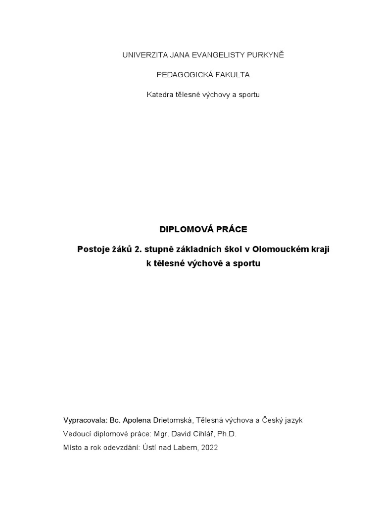 Diplomová Práce Drietomská Apolena | PDF