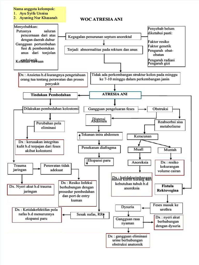 Atresia Ani: Diagnosis dan Perawatan | PDF