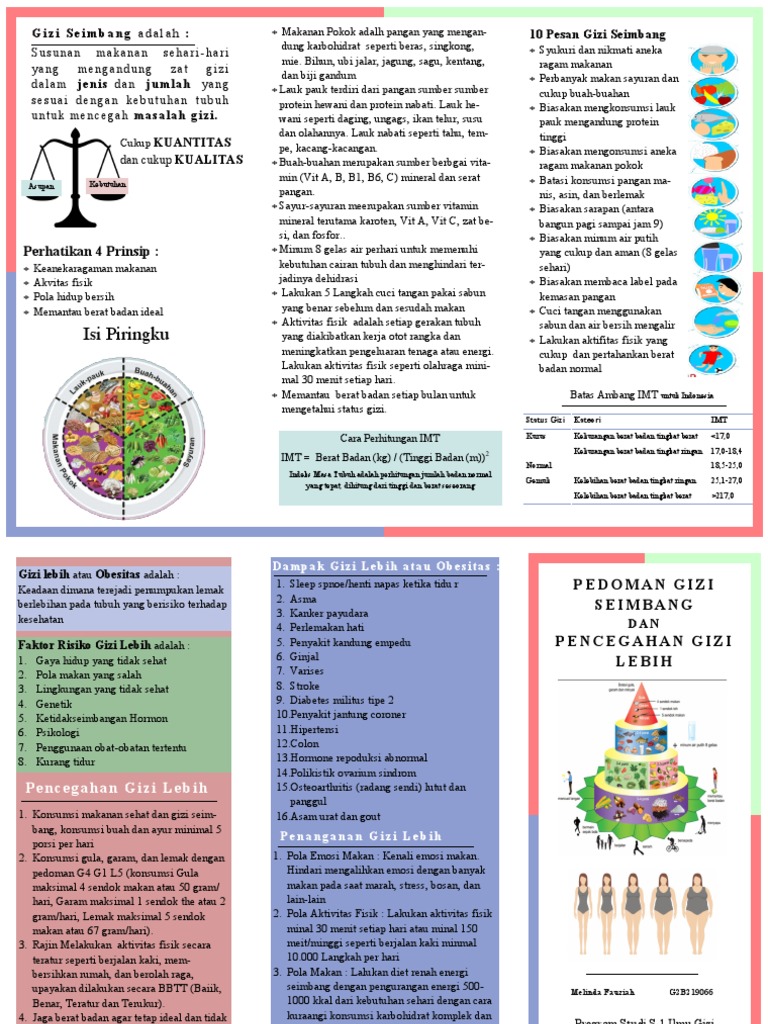 Pedoman Gizi Seimbang Ok | PDF