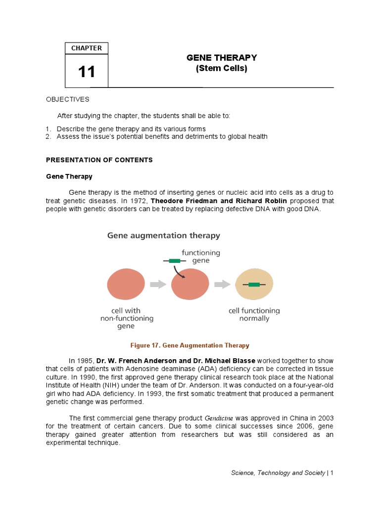 Chapter 11 Sts | PDF | Gene Therapy | Medical Treatments