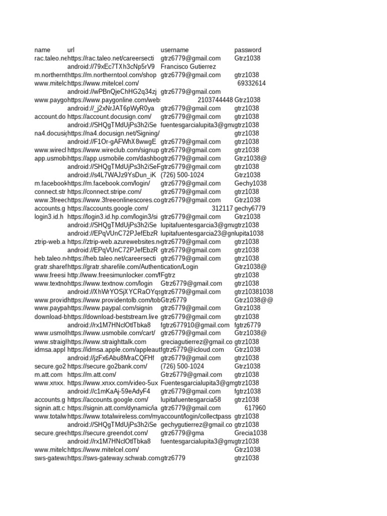 Google Passwords 1 | PDF