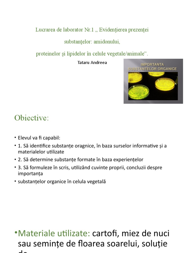 Lucrarea de Laborator NR 1 | PDF