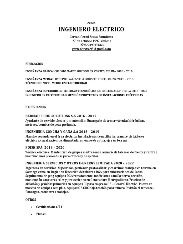 CV Gerson Bravo 2022 | PDF