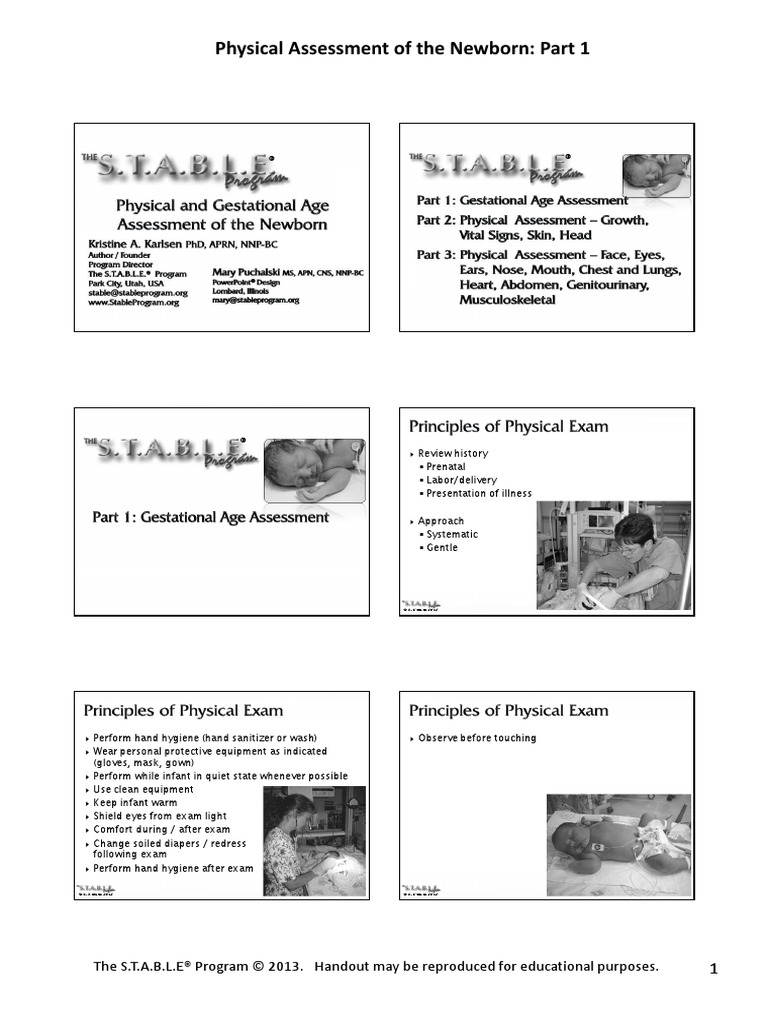 Ballard Score | PDF | Labia | Anatomical Terms Of Motion