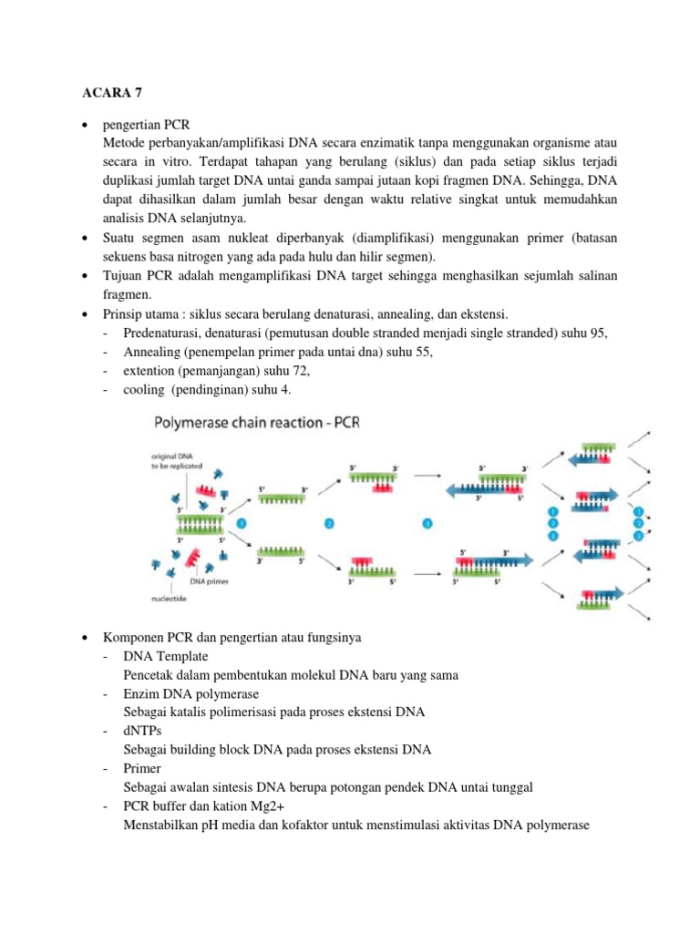 Rangkuman Materi Prakt Teklab | PDF