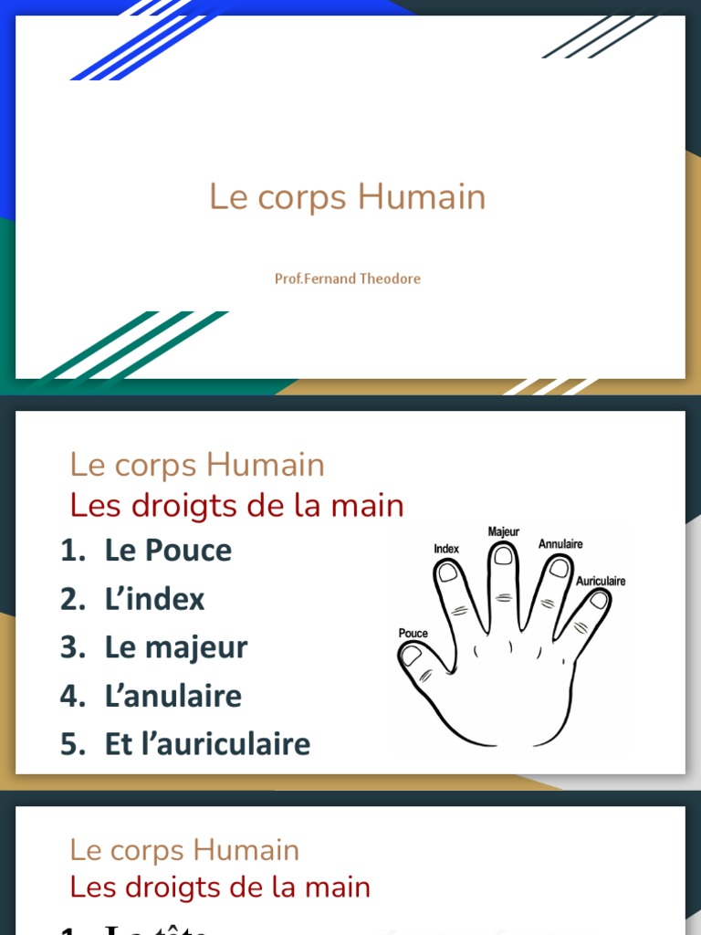Le Corps en Francés #1 | PDF