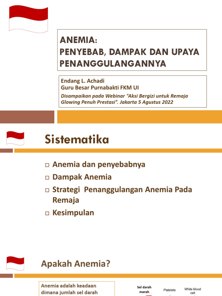 Anemi Penyebab Dampak Dan Penanggulangan 9 Agustus 2022 - FNL-1 | PDF | Kesehatan Holistik